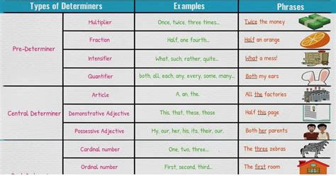 Determiners Types Of Determiners List Definition Examples 7 E S L