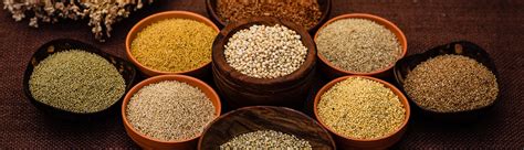 Millets Buy Millets Online At Best Prices Sri Annamillets Grains