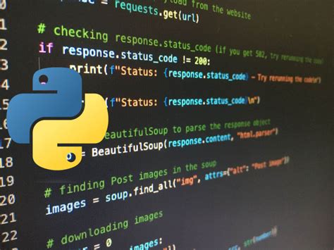 Do Your Python Projects By Aaliyahnaomii Fiverr