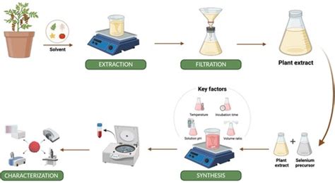 Full Article A Review On Synthesis And Characterization Of Selenium Nanoparticles From Plant