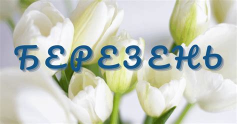 Пізнавальне читання Місяці БЕРЕЗНЕВА КАЗКА Інші методичні матеріали НУШ