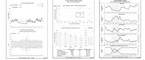 Sample Pages From The Autonomic Assessment Report Shown