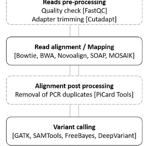Schematic Of The NGS Data Analysis Pipeline Download Scientific Diagram