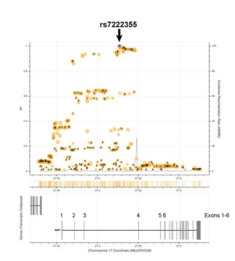 Solved Please Discuss Whether This Figure S Tagging SNP Is Chegg Com