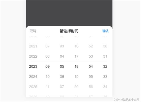 vue3 vant4封装日期时间组件（年月日时分秒） vant4 年月日时分秒 csdn博客