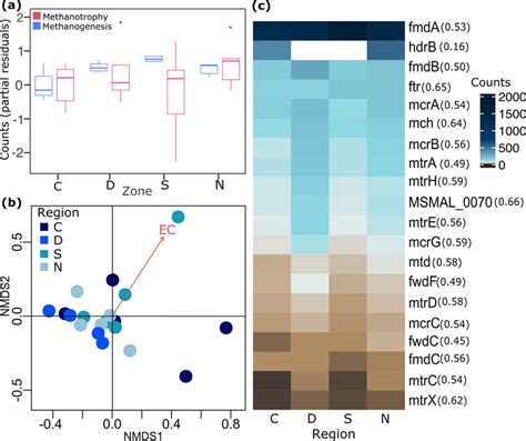 Methanogenesis But Not Methanotrophy Genes Are More Abundant With Download Scientific Diagram