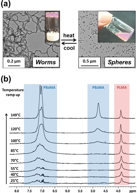 Recent Advances In Polymerization‐induced Self‐assembly Pisa