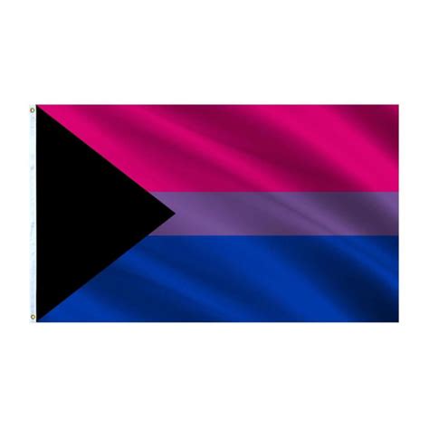 Demi Bisexual Pride Flag Pride Mode