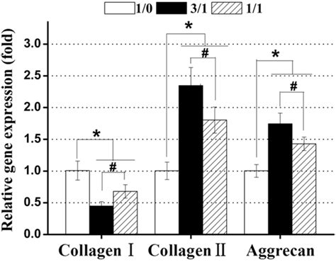 quantitative rt pcr of collagen type i collagen type ii and aggrecan