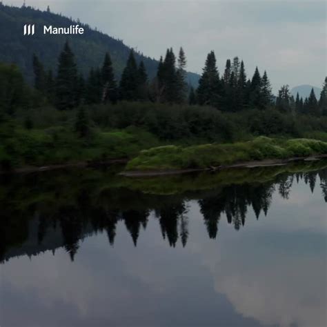 Pritha Roy Posted On Linkedin