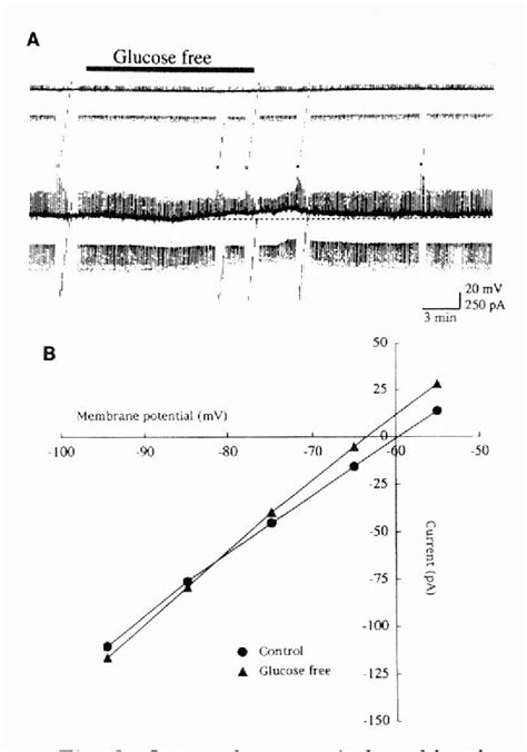 Figure 2 From Patch Clamp Analysis Of Hypoglycemia Induced Inhibition