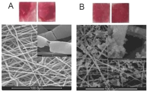 Bioceramicselectrospun Polymeric Nanofibrous And Carbon Nanofibrous Scaffolds For Bone Tissue