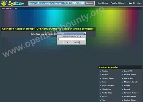 All Vulnerabilities For Video Klipleri Org Patched Via Open Bug Bounty