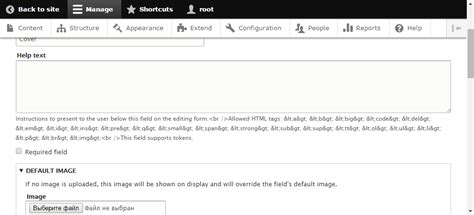 input type text elements prefix suffix and description are displaying with htmlentities