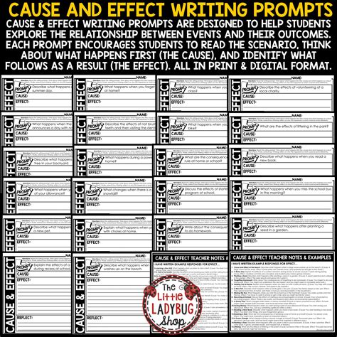 Cause And Effect Expository Writing Prompts 3rd 4th Grade The Little Ladybug Shop