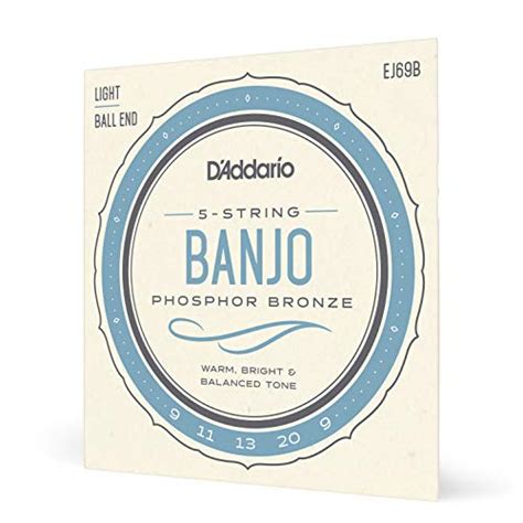 Best Banjo Strings Complete Guide To String Selection