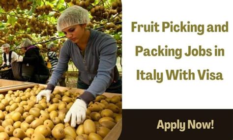Fruit Picking And Packing Jobs In Italy With Visa 2026