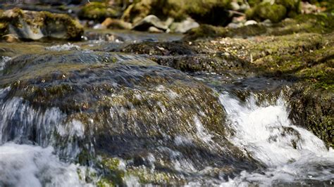 Decarbonisation And Net Zero Strategy James Cropper