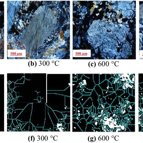 Micrographs Of The Thin Section Cross Polarized Light And Respective