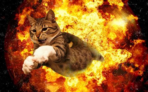 20 Cats Walking Away From Explosions As A Parody To Cool Guys Dont