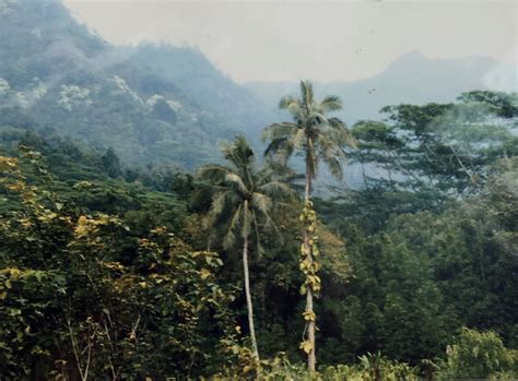 Oahu Suite By Lieven Moana Ep Electroacoustic Reviews Ratings Credits Song List Rate