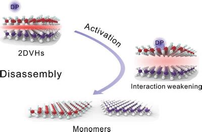 Schematic Illustration Of The Disassembly Of 2dvhs Via The Activation