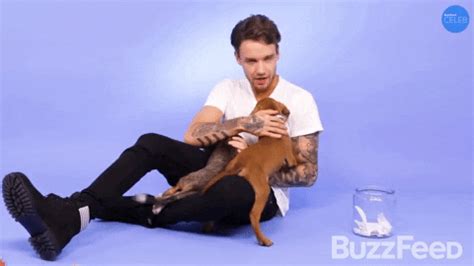 He Really Likes Me S Find And Share On Giphy
