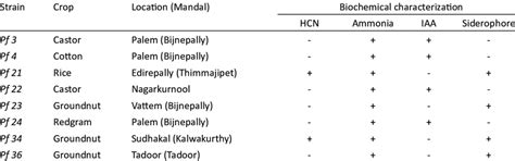 Biochemical Characterization Of Pseudomonas Fluorescens Strains Download Scientific Diagram