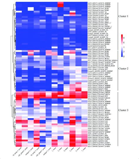 The Genes Of The Toll And Imd Signaling Pathways Identified In The D