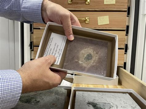 Field Museum Unveils Fossilized Meteorites From Times Before Dinosaurs Cbs Chicago