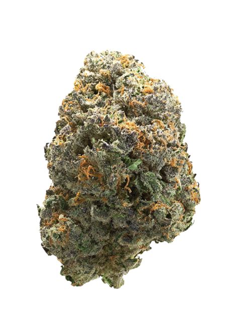 Tea Time Cannabis Strain Information Growdiaries