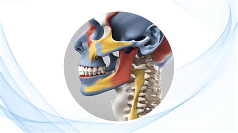 Tratamientos Corporales Con Hilos PDO Lo Que Necesitas Saber