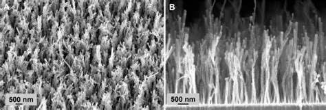 Sem Micrographs Of Cnf Electrodes Showing The Morphology Of The Sample