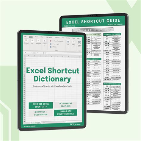 Guides Excel Dictionary