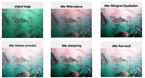 Github Bedooralmareniunderwater Image Enhancement Project For