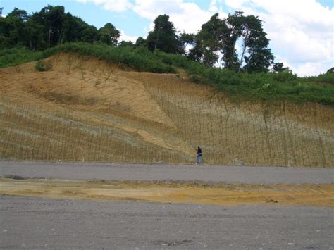 Falla Inversa En Este Afloramiento Se Observa Una Capa De Limolita