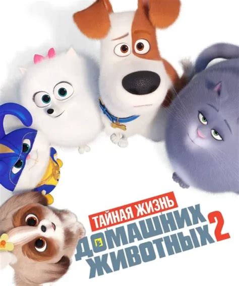 Мультфильмы и мультсериалы смотреть онлайн бесплатно в хорошем качестве Кадикама