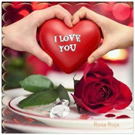 💢💖💘სიყვარული სიყვარული💘💖💢