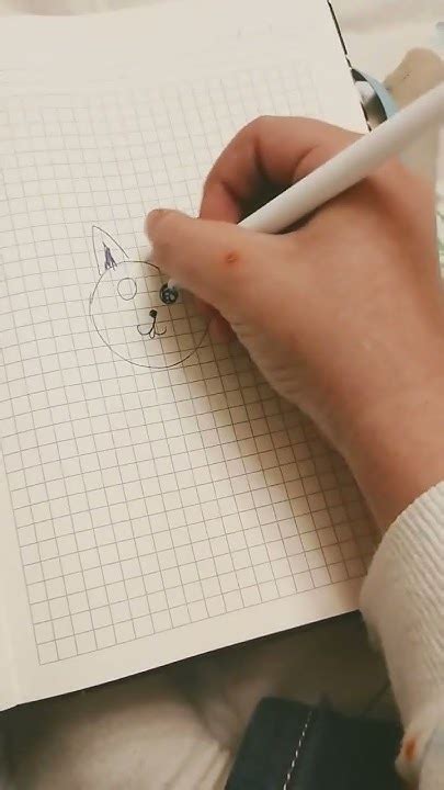 Как лехко нарисовать котика Youtube