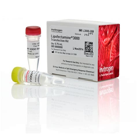 Lipofectamine 2000 Thermo Fisher Scientific Cn