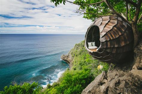 A Tree House Nestled Within A Giant Seashell Sits Perched On The Edge
