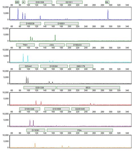 Powerplex® 18e System America Volume 7 Spring 2023