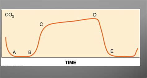 Basics Capnography Waveforms Only Flashcards Quizlet