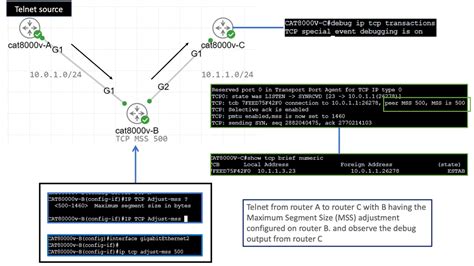 Multipath Tcp