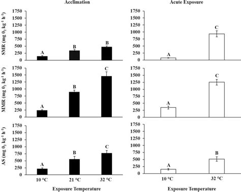 Standard Metabolic Rate Smr Top Maximum Metabolic Rate Mmr Download Scientific Diagram
