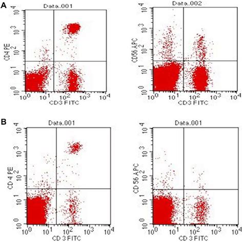 Representative Dot Plots Demonstrating The Percentage Of Bone Marrow Download Scientific