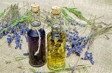 무료 사진 허브 오일 유리 병 향기 정 나무의 약