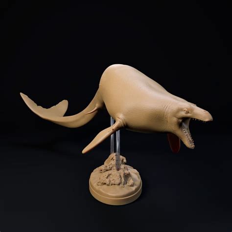 3d Printable Basilosaurus 1 35 Scale Pre Supported Prehistoric Whale By