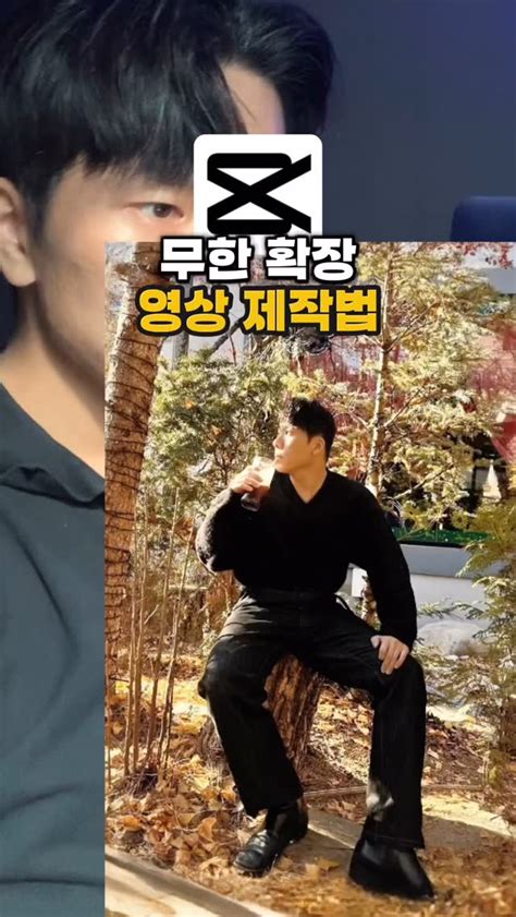 릴스 드래곤 캡컷 영상편집 And Ai 얼굴 들어올리는 영상 제작법 😊 주요 어플 캡컷 주요 기능 배경제거사용자지정삭제