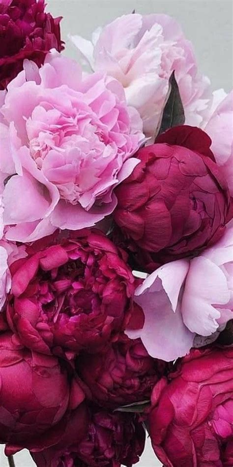 Администрация сообщества поздравляет с Днём | В Азербайджане не поймут